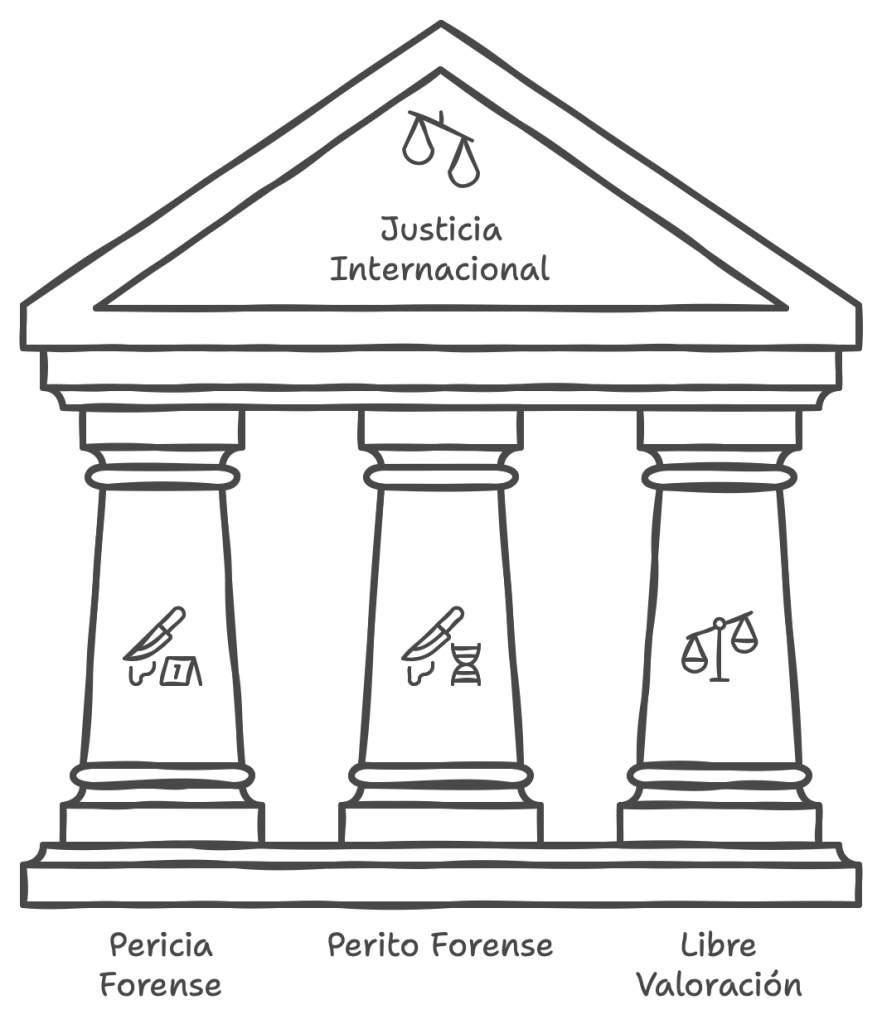 ¿Qué es Pericia y un Perito Forense? – IDEF Internacional